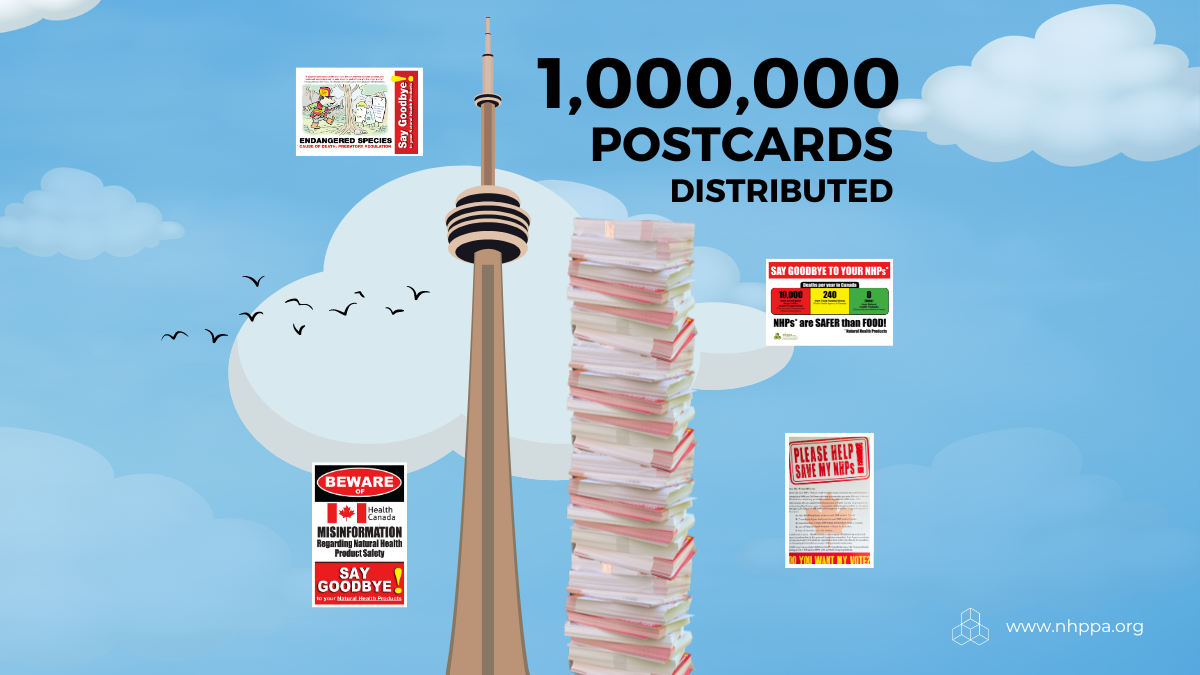 1 Million Postcards Reach the CN Tower's Glass Floor!