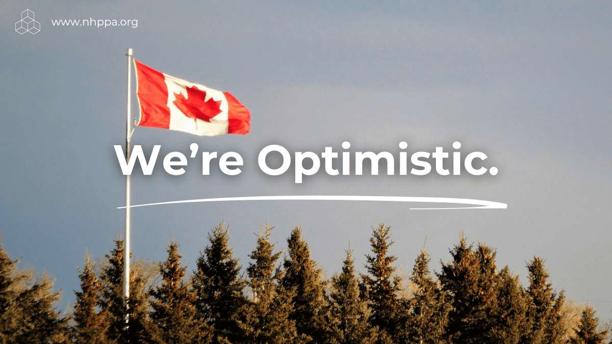 We're Optimistic: Here Are 7 Reasons Why